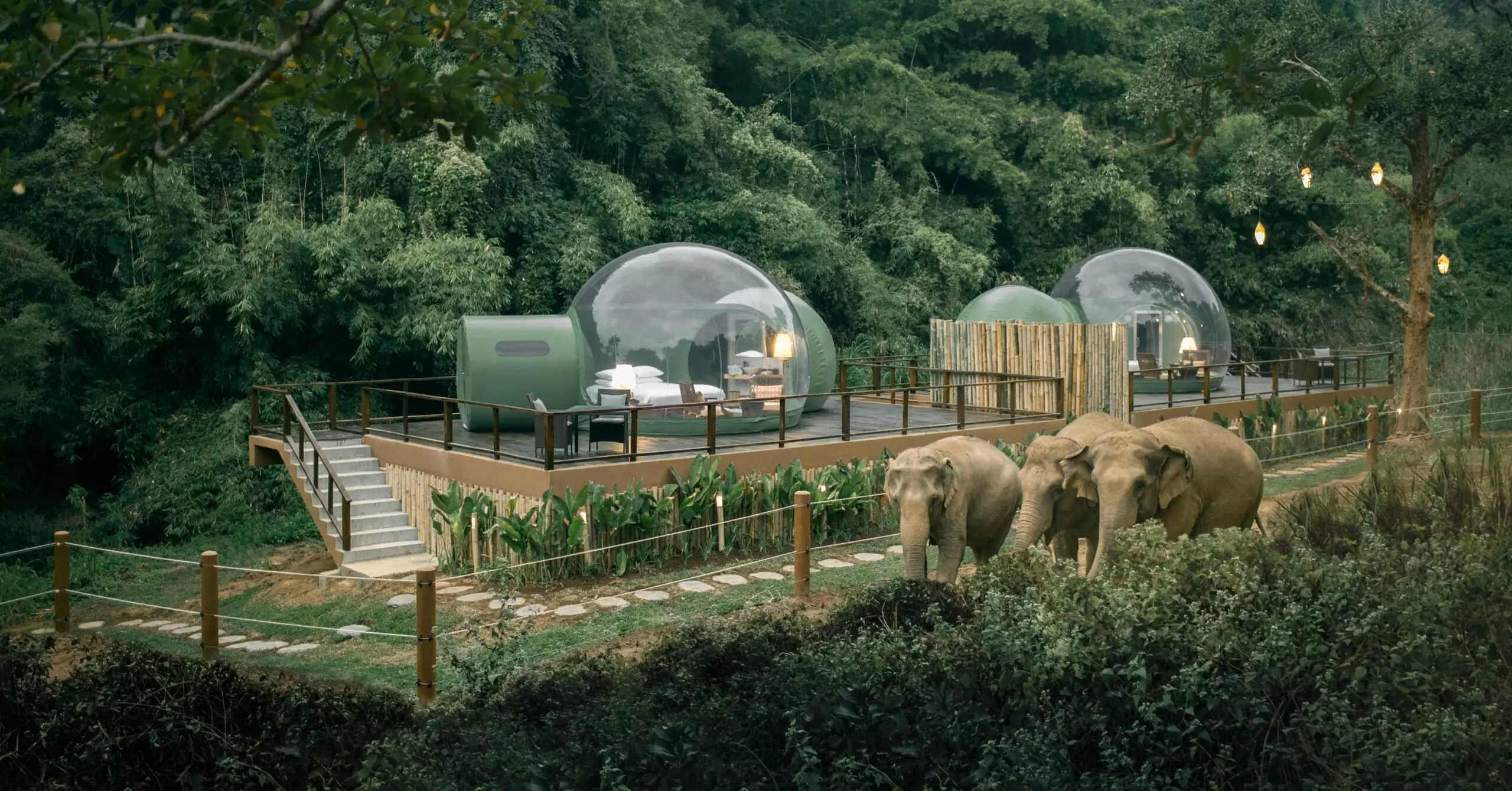 Spánek mezi slony v apartmá The „Jungle Bubble“ v Thajsku 56475_3