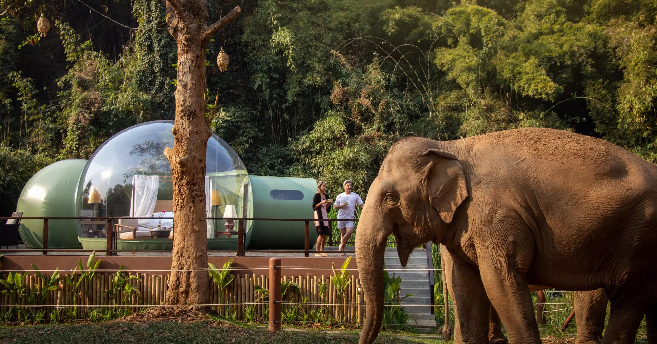Spánek mezi slony v apartmá The „Jungle Bubble“ v Thajsku 56475_4