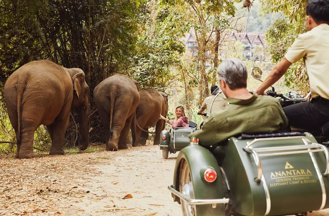 Spánek mezi slony v apartmá The „Jungle Bubble“ v Thajsku 56475_6